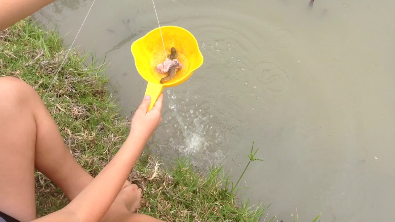 Yabbing Part 2 - YouTube