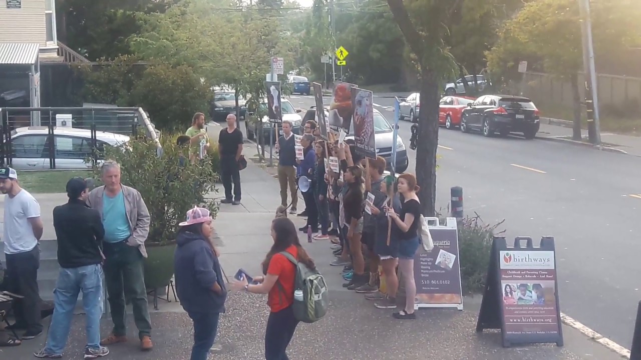 Vegetarian protest in Berkeley.mp4 - YouTube