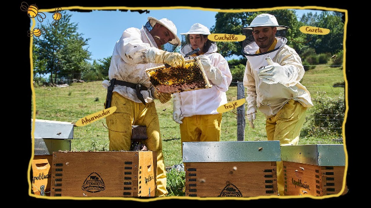 12 pasos para Revisar una Colmena - YouTube