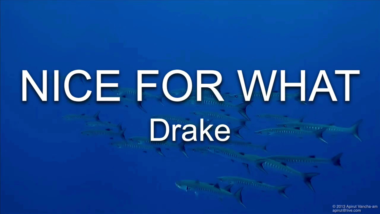 NICE FOR WHAT - DRAKE ( audio ) - YouTube