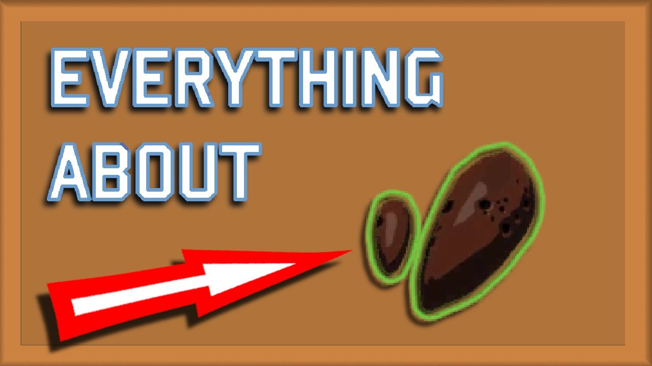 EVERYTHING You NEED to Know About Leeching Seed in Risk of Rain 2 - YouTube