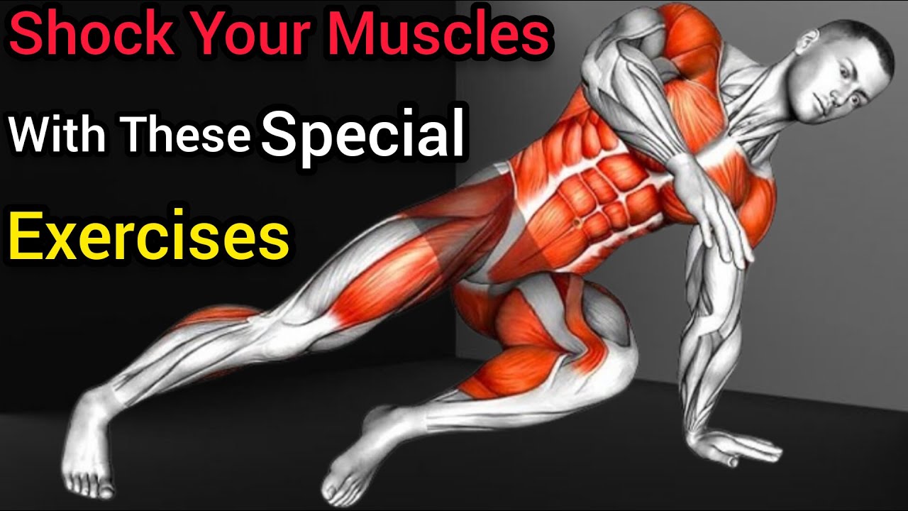 THE BEST EXERCISE FOR EACH MUSCLE GROUP (men over 40) - YouTube