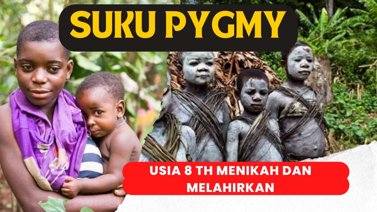 Usia 8 tahun sudah menikah dan melahirkan ; suku pygmy - YouTube