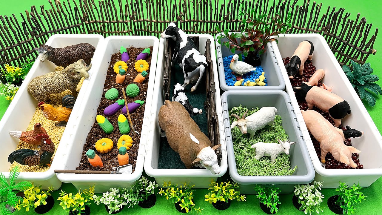 Farm Moving Day In Square Box | Farm Animal Names Cow Llama Alpaca Duck ...