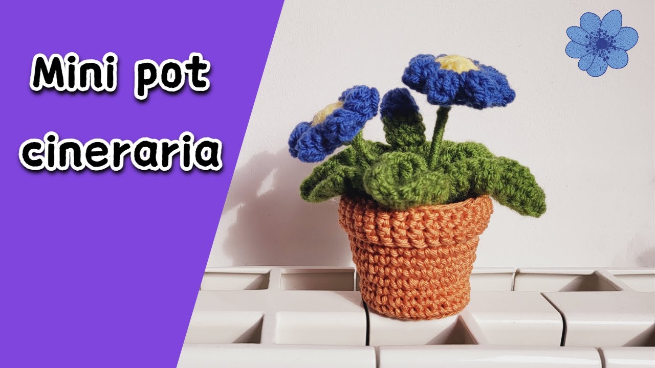 Crochet mini Plant CINERARIA flower Amigurumi plants for beginners ...