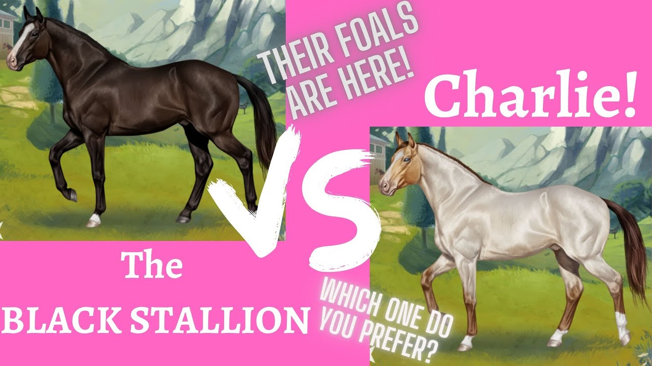 Our TWO TOP STUDS and their foals are here! Breeding Charlie and the ...