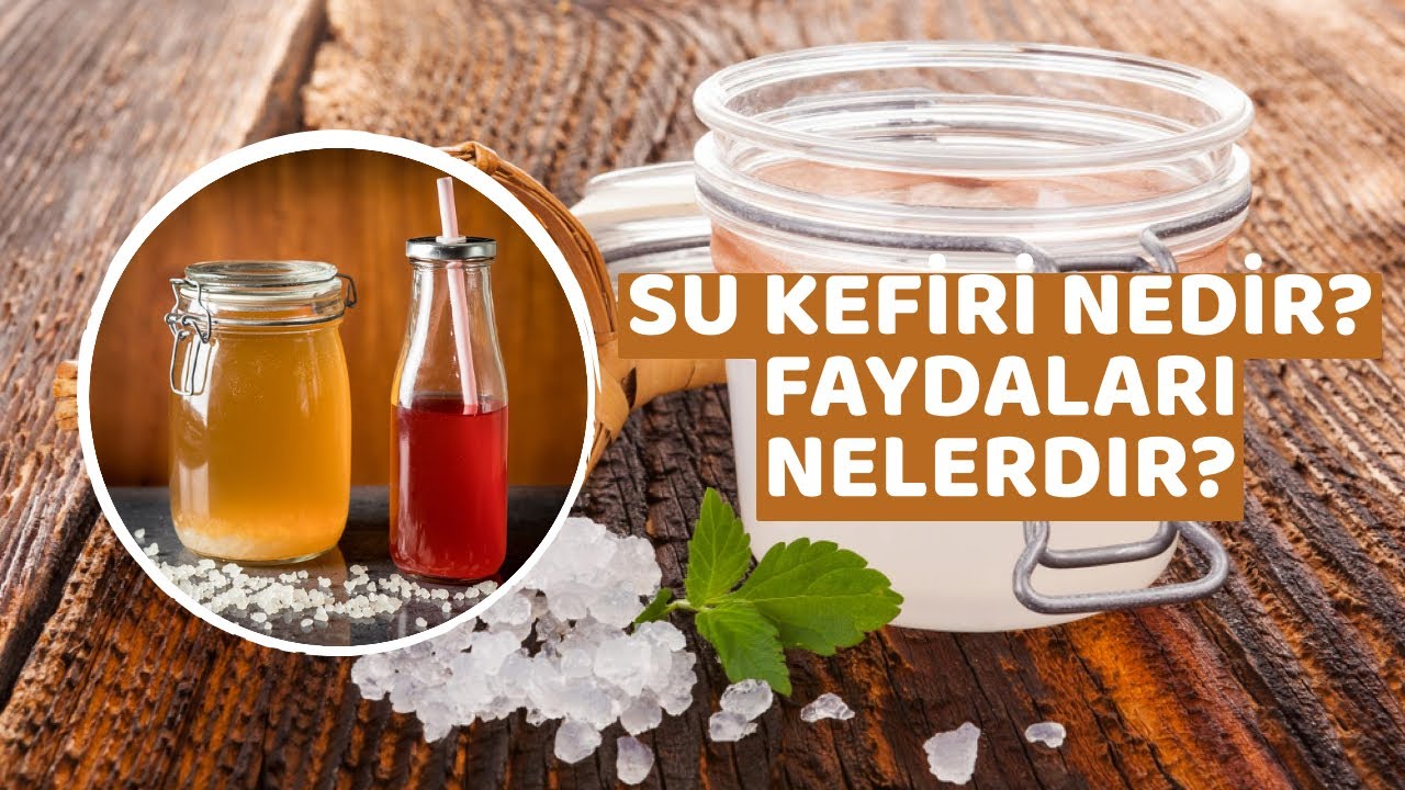 Su Kefiri Nedir? Su Kefirinin Faydaları Nelerdir? - YouTube