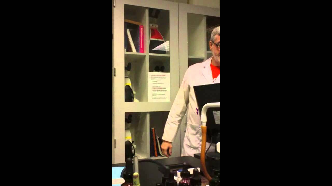 Exam 1 What is Science Intro Notes part 1 - YouTube