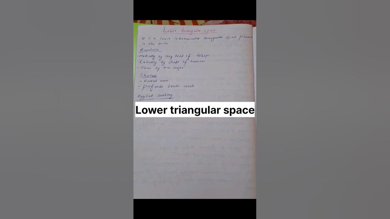 Lower triangular space #shortnotes #anatomy #study #ytshorts # ...