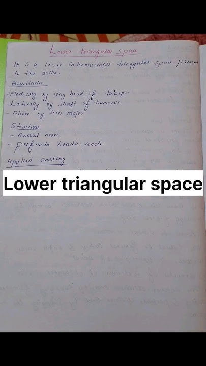 Lower triangular space #shortnotes #anatomy #study #ytshorts # ...