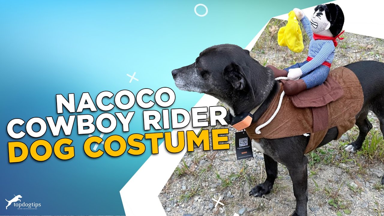 NACOCO Cowboy Rider Dog Costume - YouTube