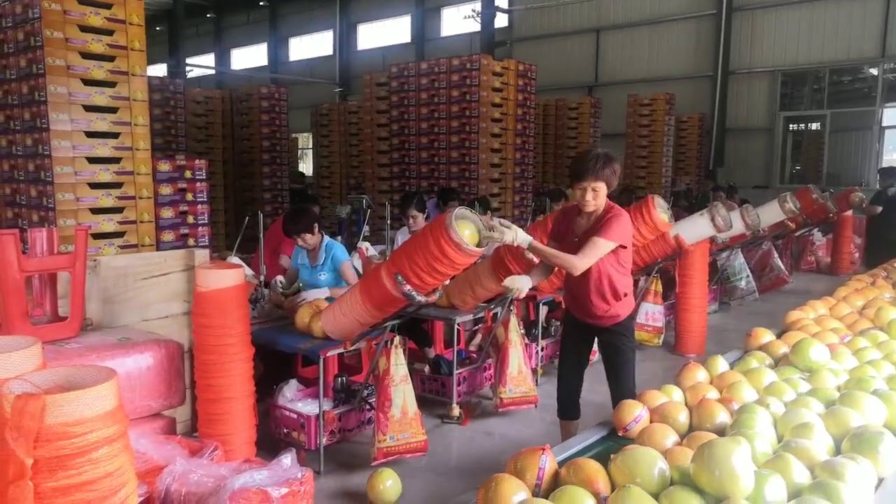 Packing pomelo - YouTube