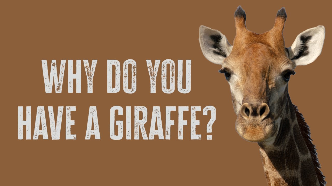 Why do you have a giraffe (Kids Song) - YouTube