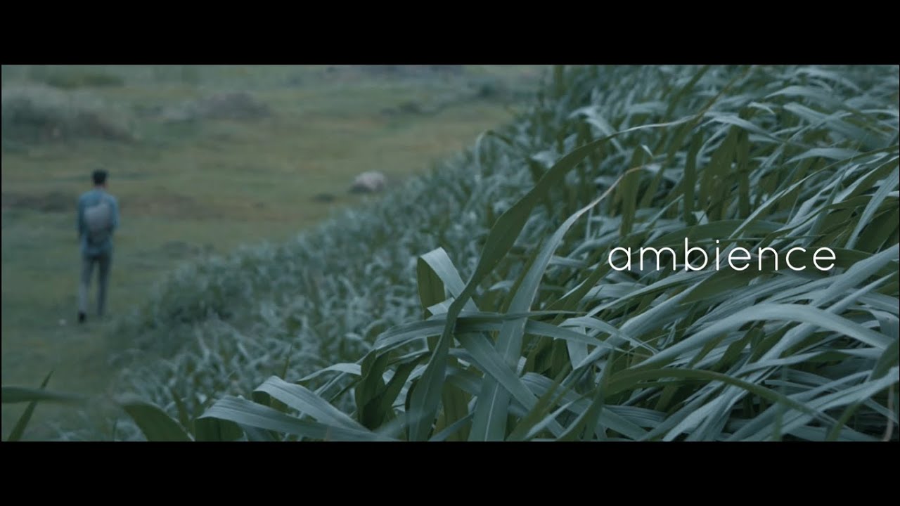 ambience - YouTube