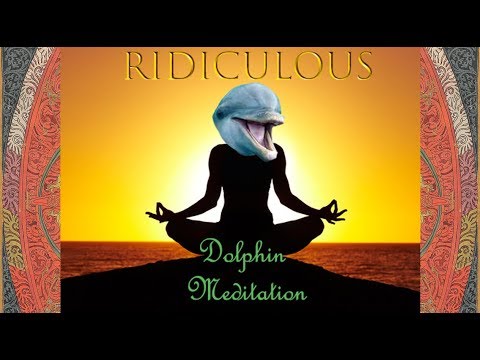 Ridiculous Guided Meditation (Dolphin Meditation) - YouTube