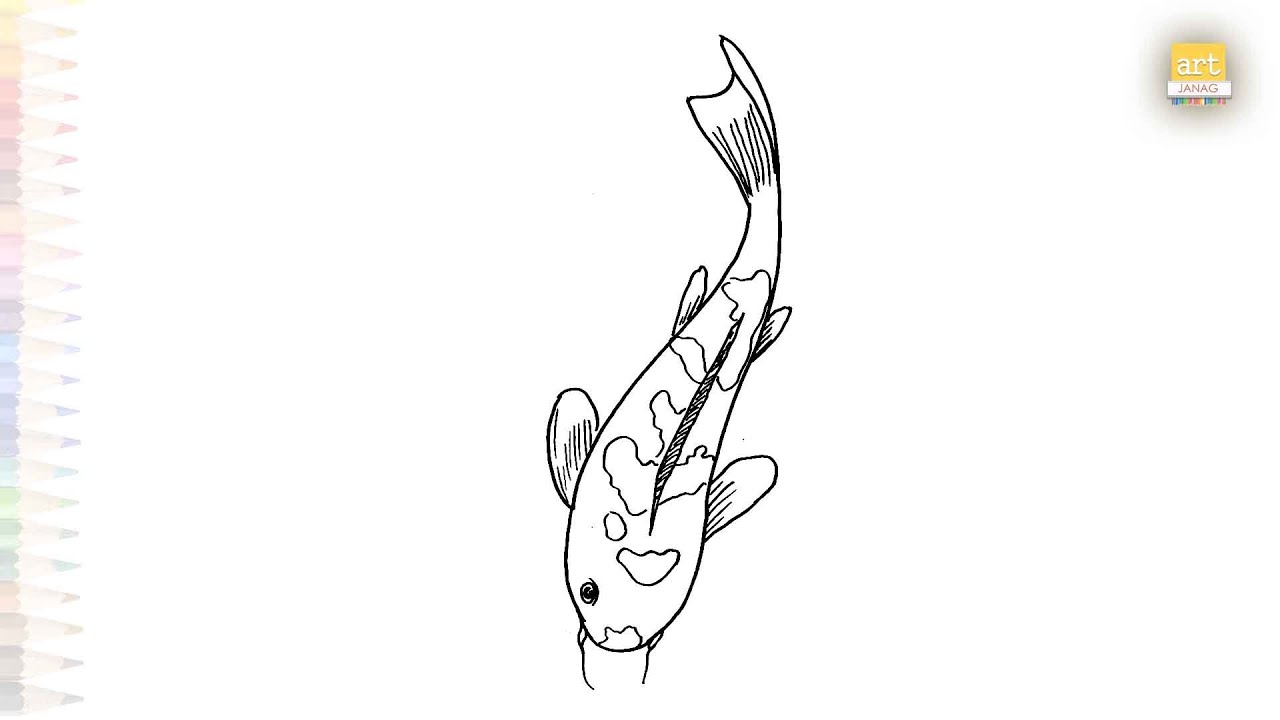 Koi carp fish drawing easy | Outline sketches | How to draw A Koi fish ...