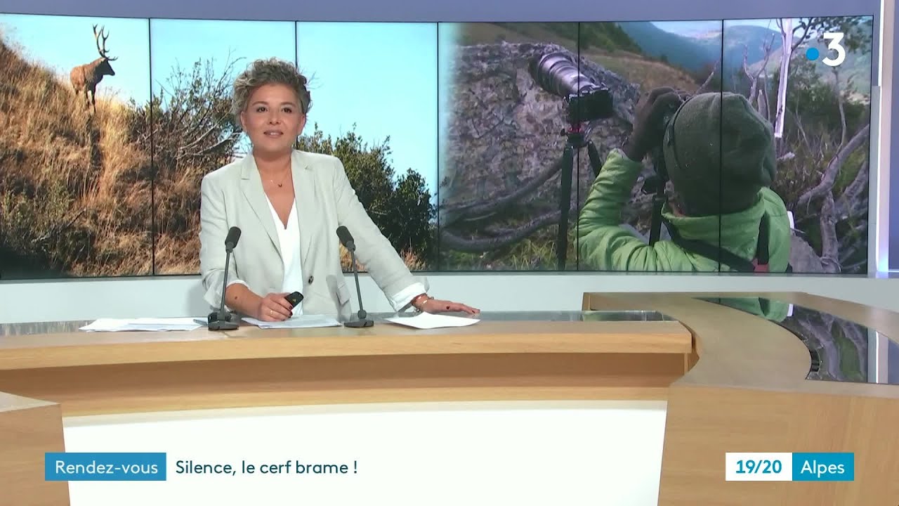 Haute-Savoie : à l'écoute du brame du cerf, avec le photographe Jérémy ...