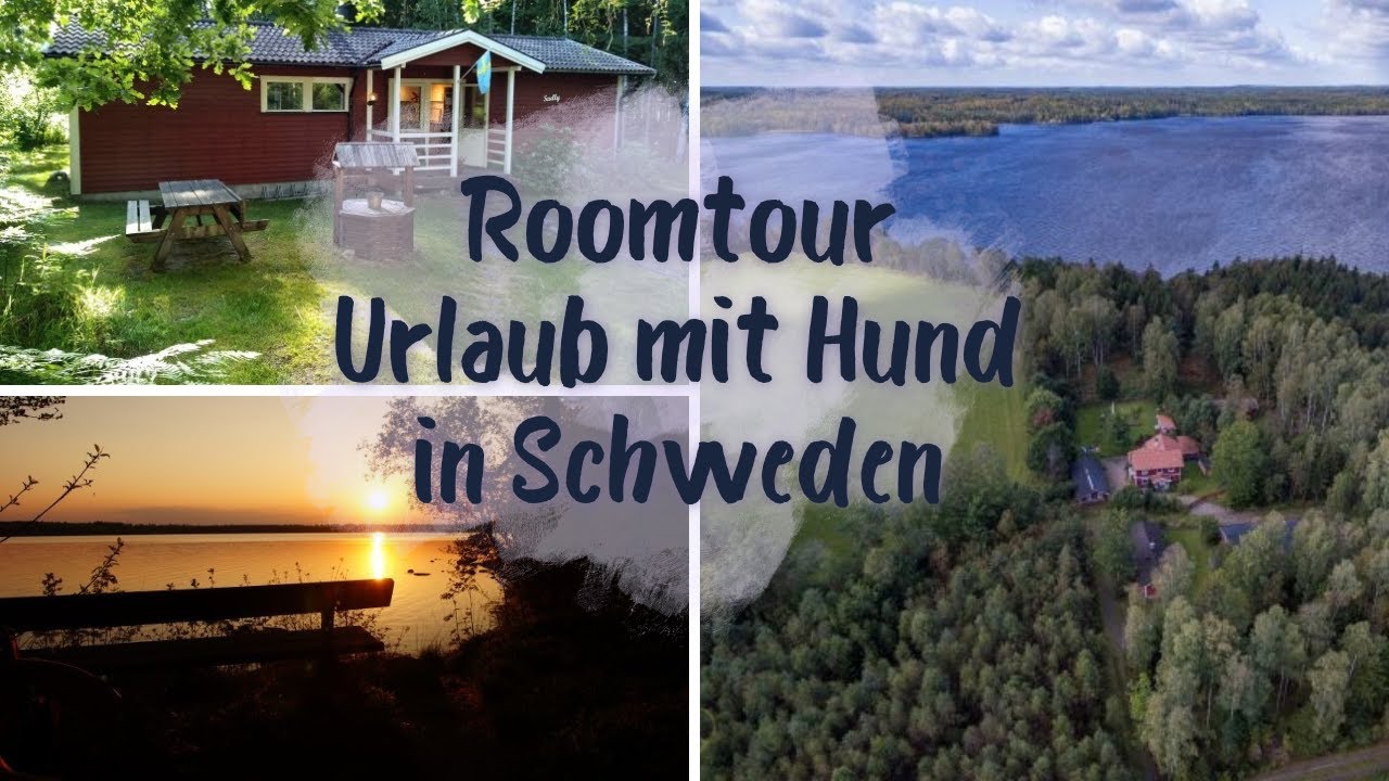 Ferienhaus Sdschweden Mit Hund Am See