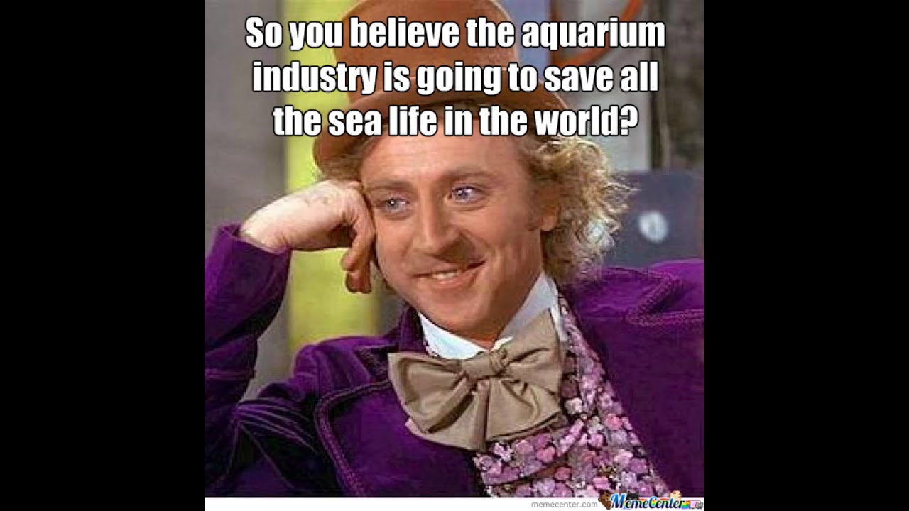 Set'em Free - YouTube