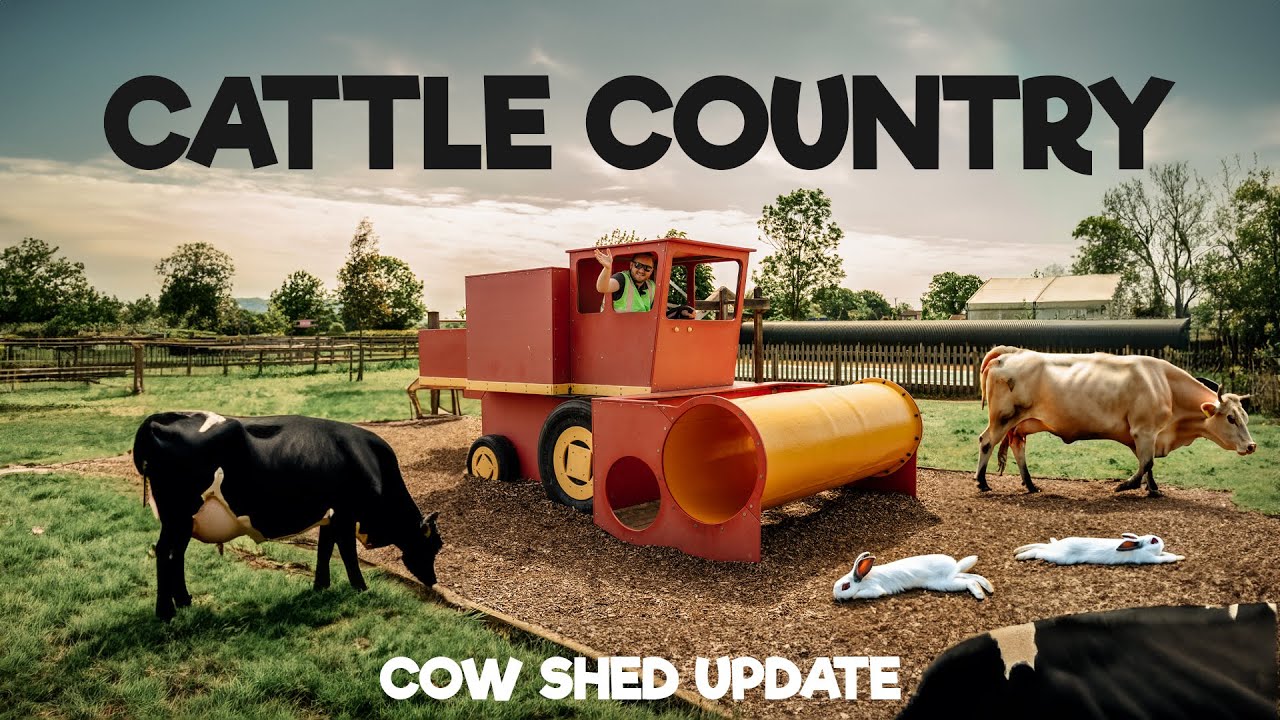 Cattle Country Cow Shed Update May 2023 - YouTube