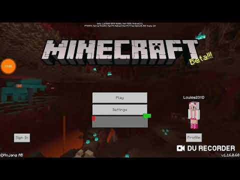Minecraft:How To Make Your Name Invisible (Easy) (In Any Version) - YouTube