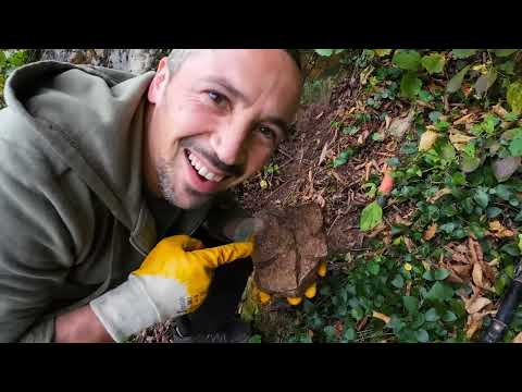Define Macerası Gizemli Bölgede Bulunan Hazineler !!