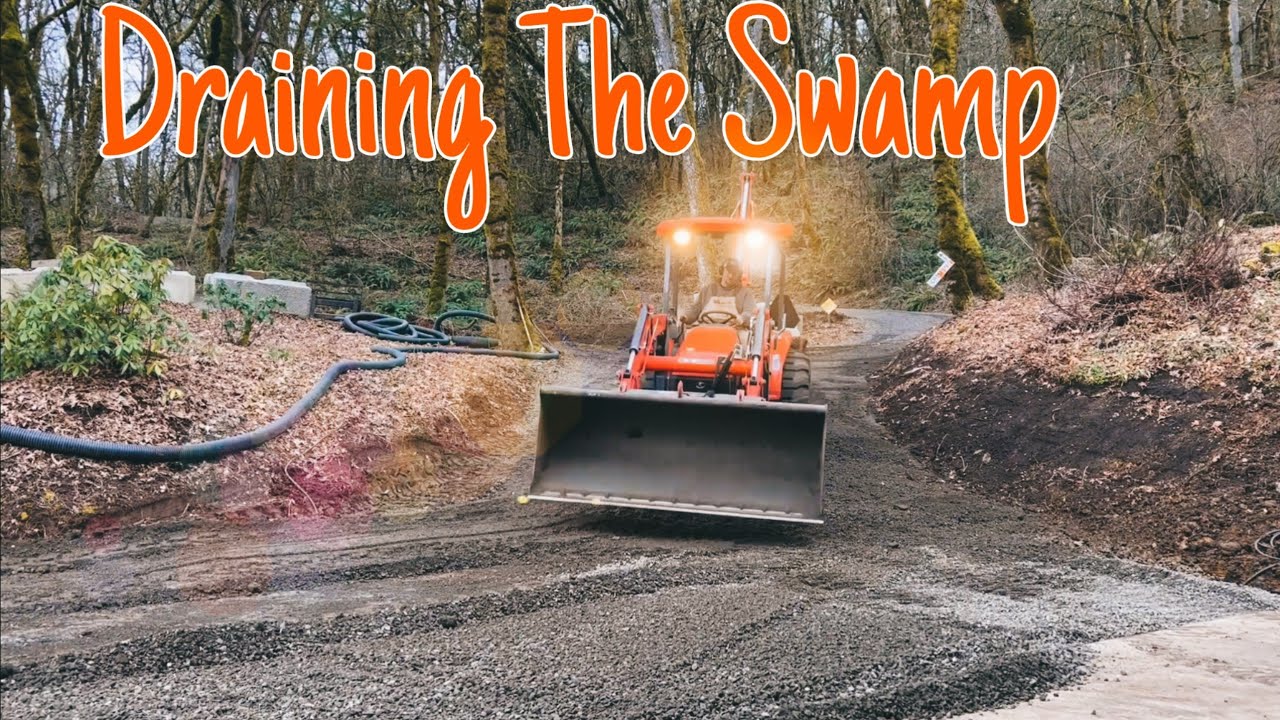 Draining The Swamp - YouTube