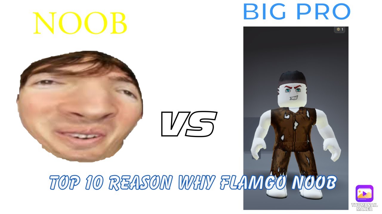 TOP 10 REASON FLAMIGO NOOB @flamingo - YouTube