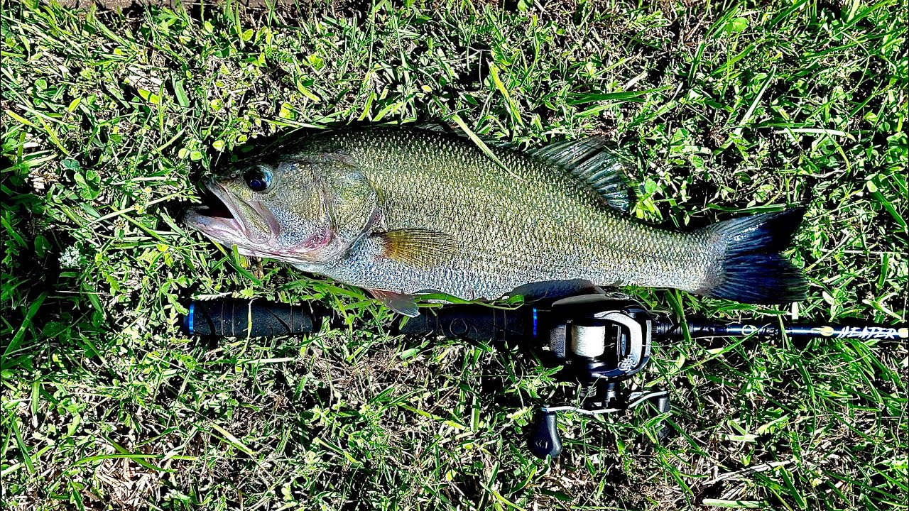 THE 6TH SENSE JUSTIN ROYAL 6'9 MEDIUM MODERATE HEATER ROD (REVIEW ...