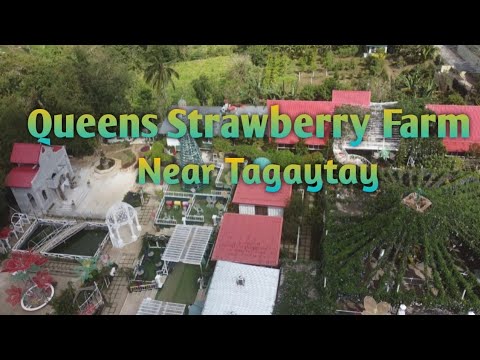Queens Strawberry Farm in Alfonso | Malapit lang sa Tagaytay - YouTube