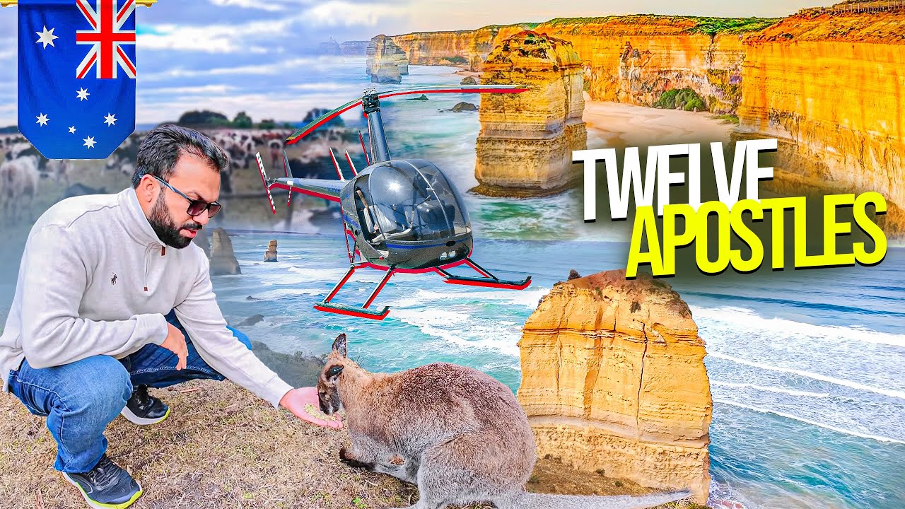 Helicopter Ride 🚁 over Twelve Apostles in Australia 🇦🇺 fed Kangaroos 🦘 ...