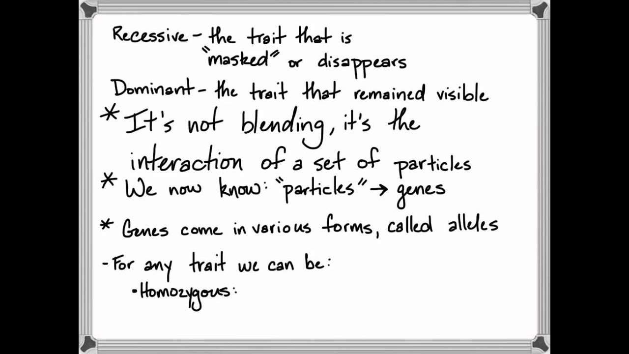 Genetics Lesson 1, Part 2: Simple Mendelian Genetics - YouTube