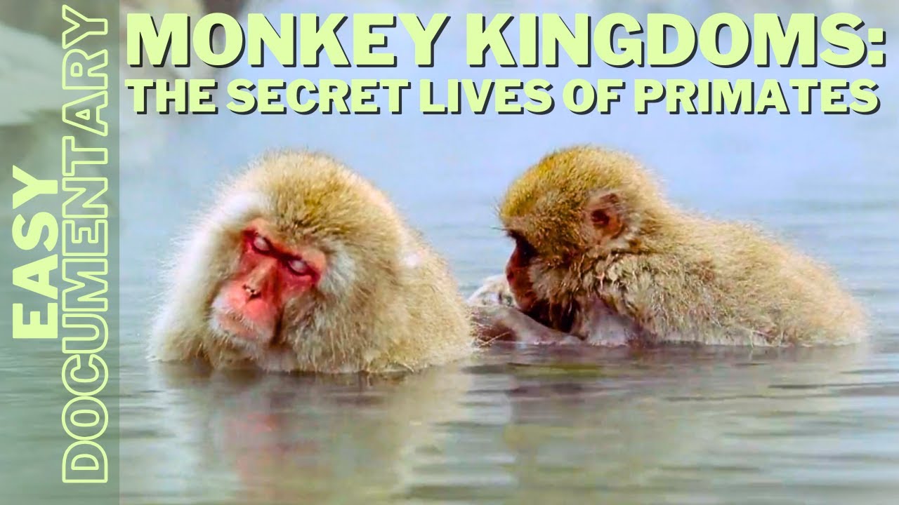 Monkey Kingdoms: The Secret Lives of Primates - Full Nature Documentary ...