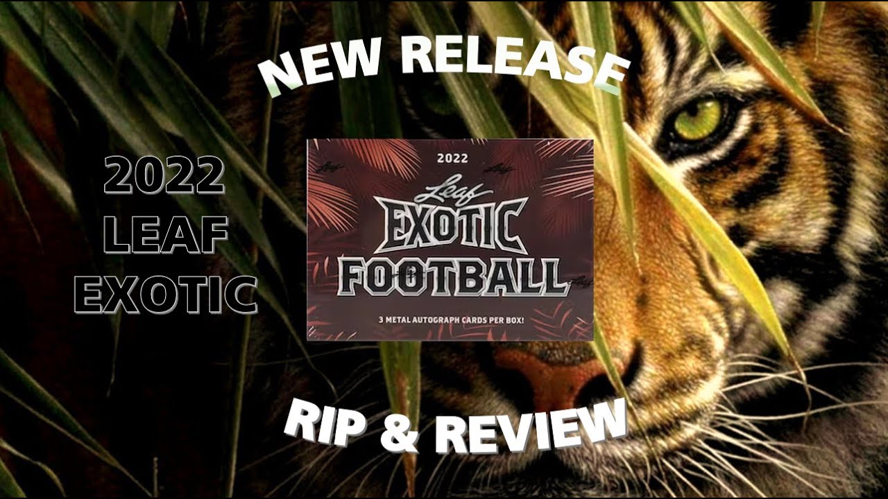 2022 Leaf Exotic Football!!! NEW RELEASE!!! RIP & REVIEW!!! 3 Cards! 3 ...