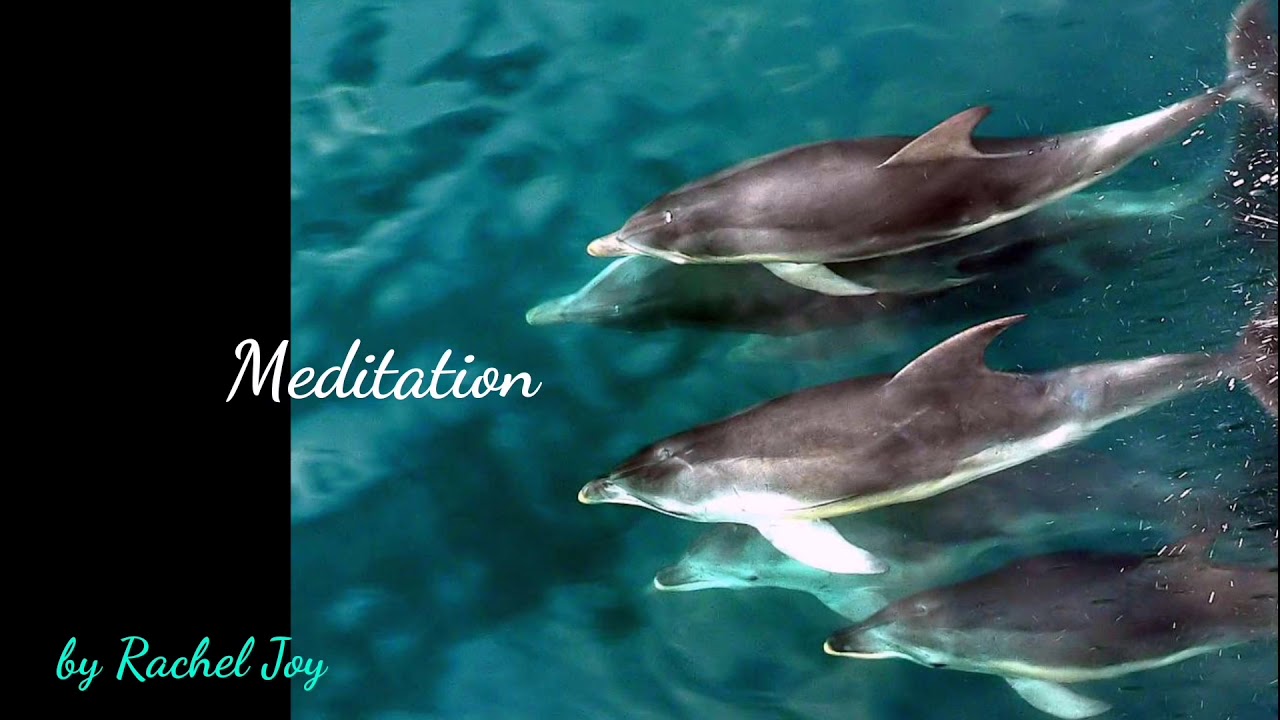 Guided Meditation: Join The Dolphins - YouTube