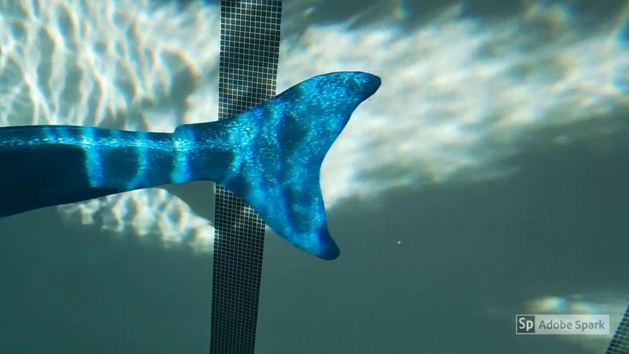 Mermaid Pod Practice - YouTube