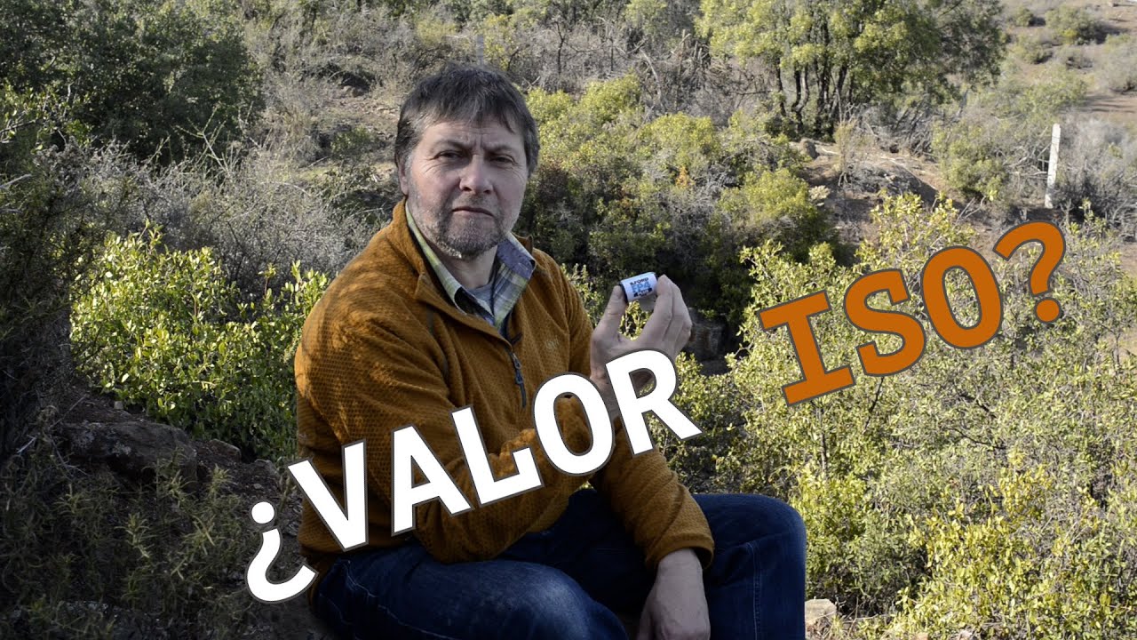 Que es el valor ISO en tus fotografías - YouTube