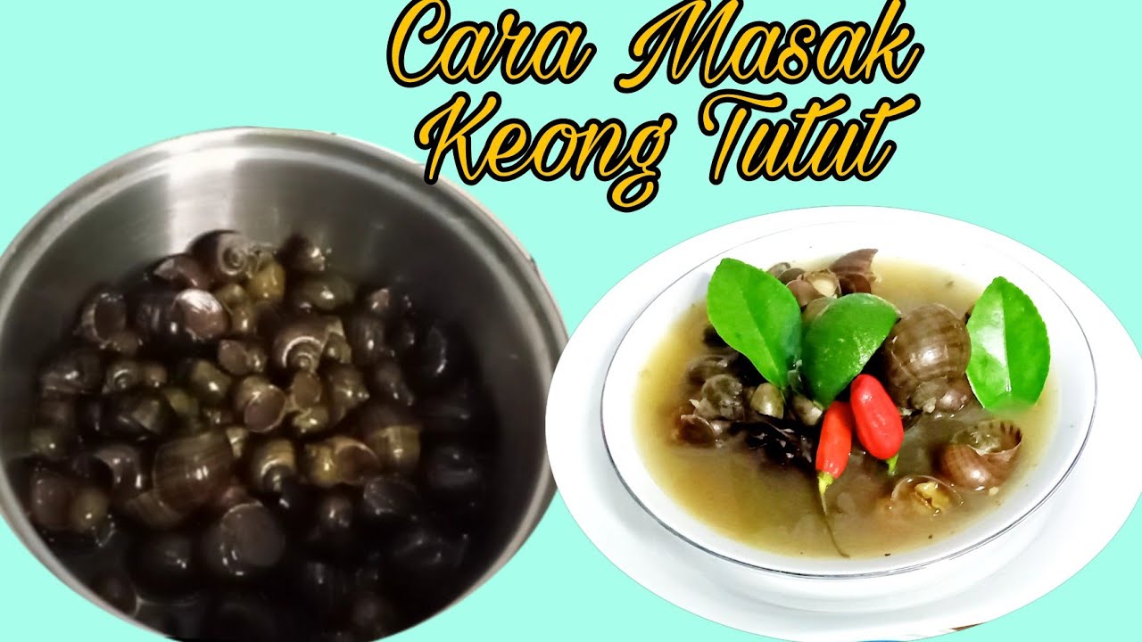 Cara Masak Keong Tutut/ Keong Sawah By Dapur Ayrha - YouTube