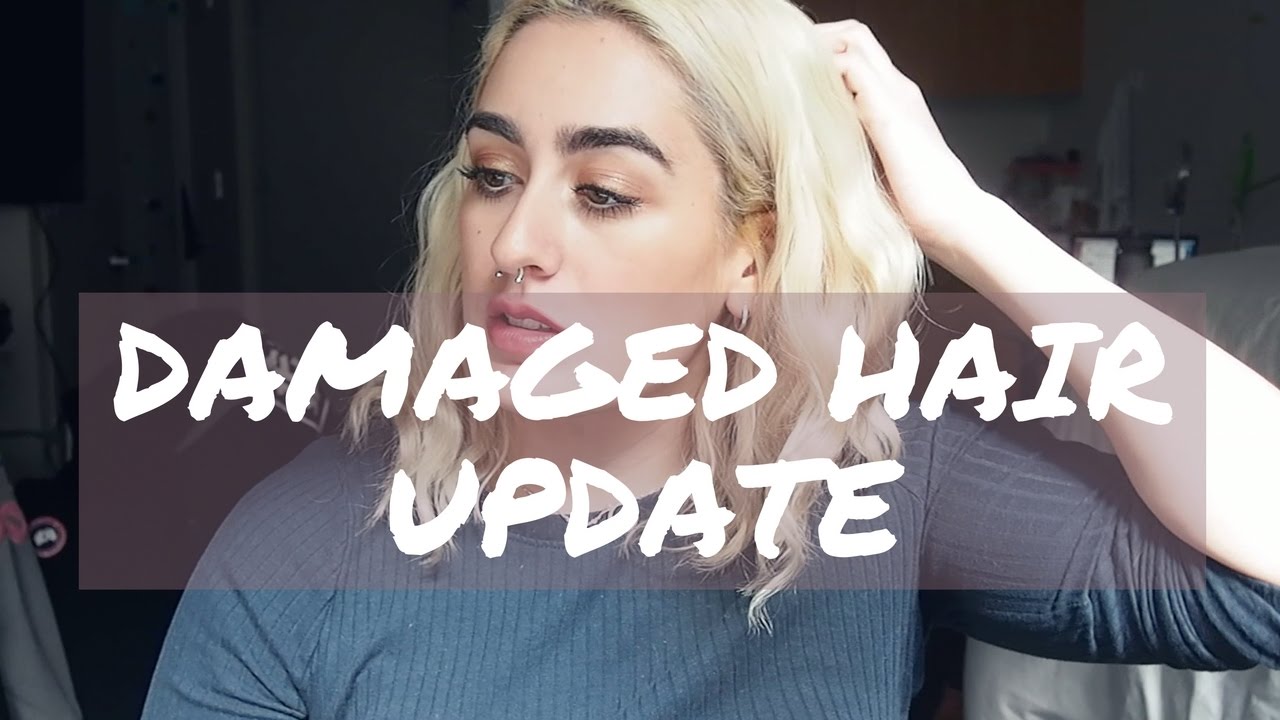 FIXING EXTREMELY DAMAGED HAIR UPDATE! - YouTube