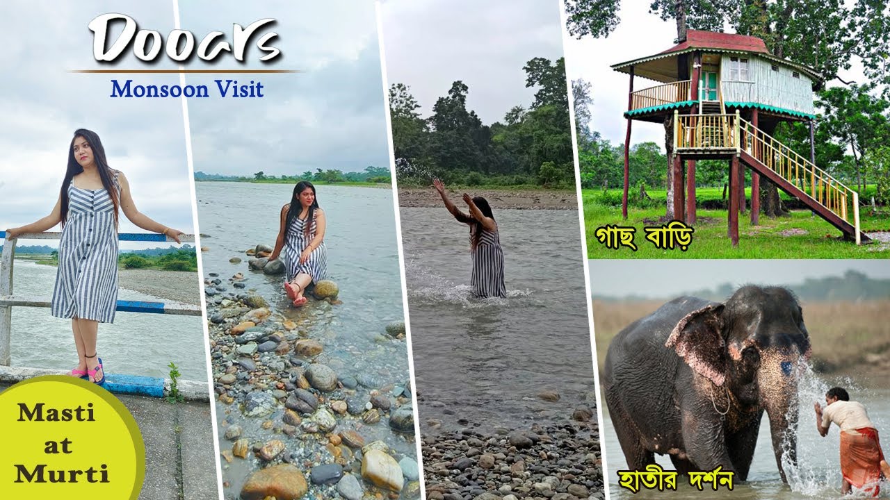 Dooars | Tour Plan | Places to Visit - YouTube