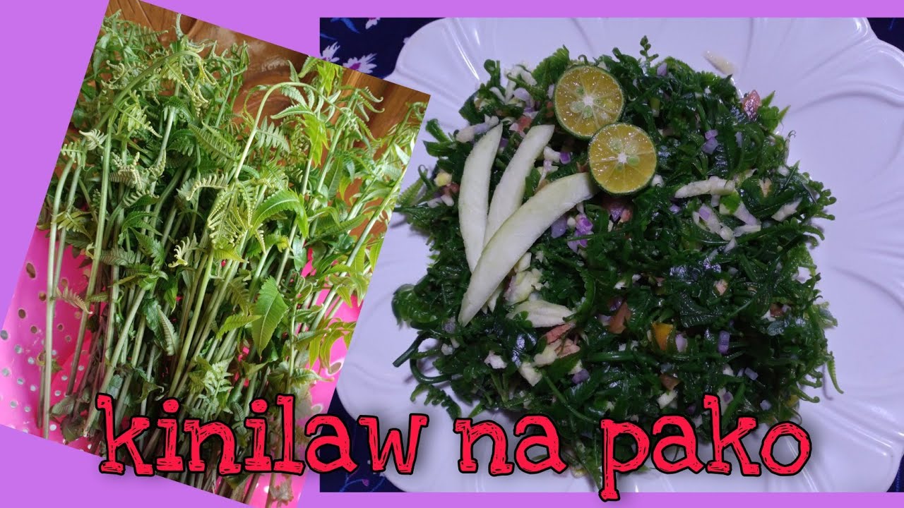 libreng Gulay sa likod bahay| Pako o fern| kinilaw na pako - YouTube