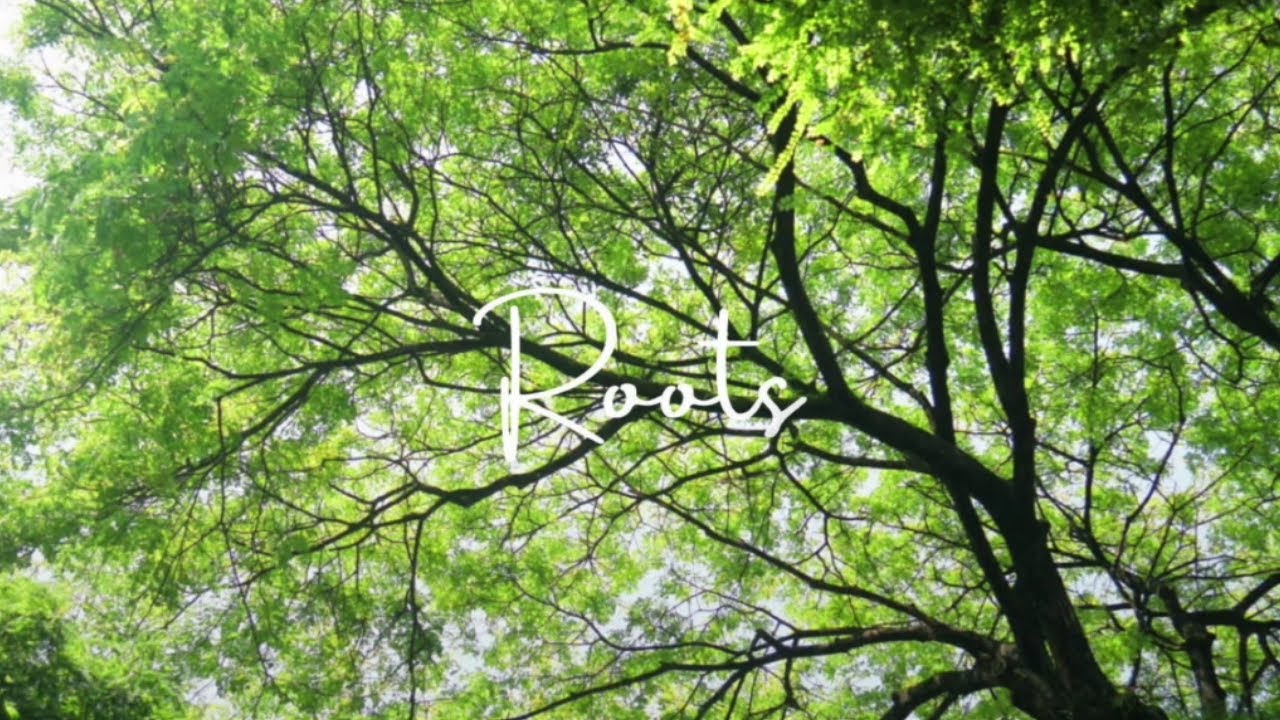 Jennifer Jess - Roots (Official Lyric Video) - YouTube