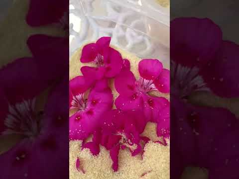 Epoksi için çiçek kurutma