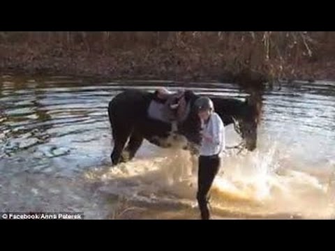 CUTE! Horse Discovers that Splashing Water in the River is Fun