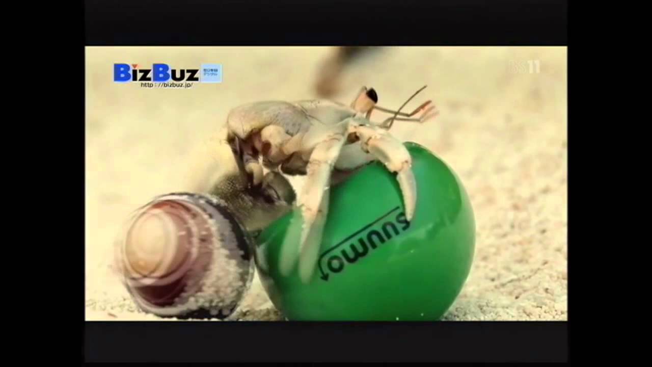 ウイークリーニュースONZE×BizBuz：引越しプロジェクト 地球上最も難しいお客様？ #ONZExBizBUz - YouTube