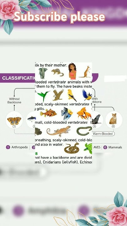 #animal Kingdom #topic and example with digram from #ncert for #neet ...