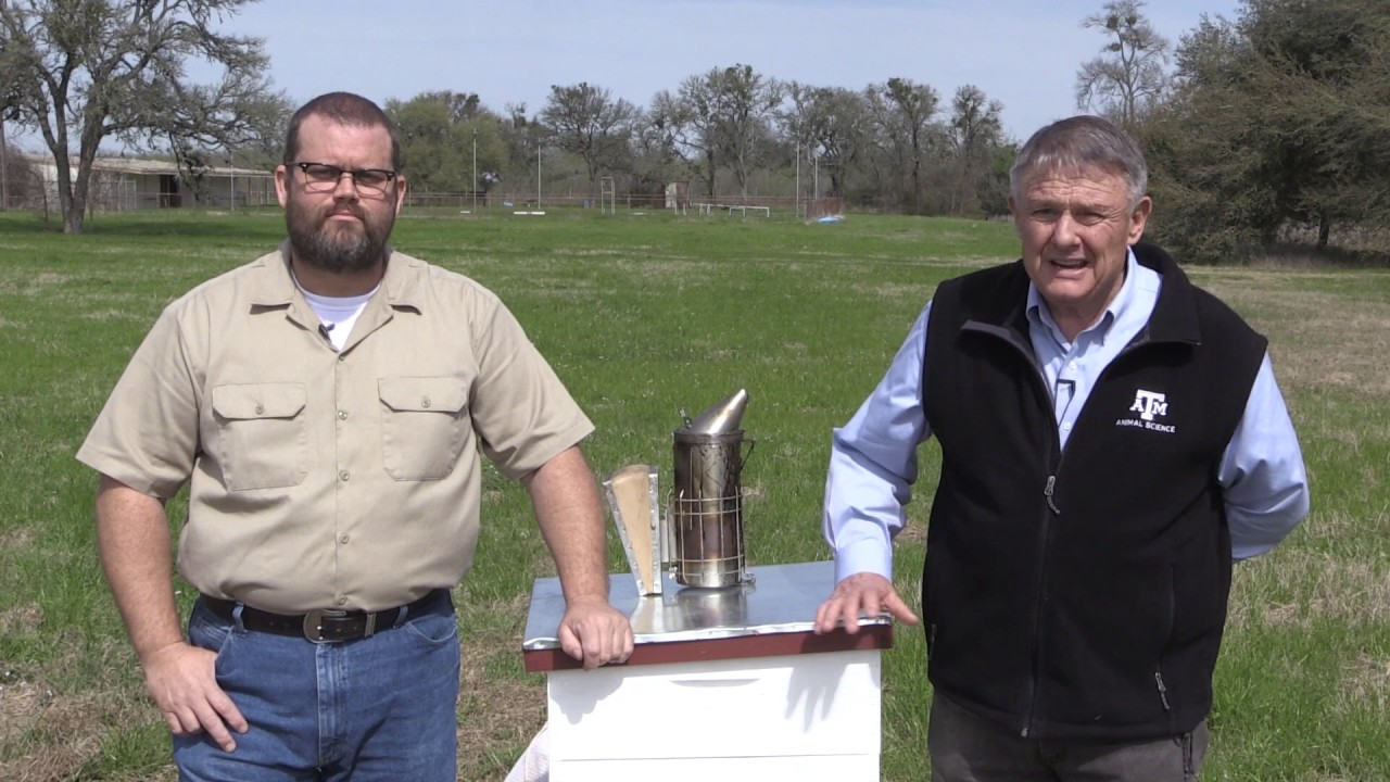 Tom Hairgrove - Veterinary Feed Directive - Honey Bees - YouTube