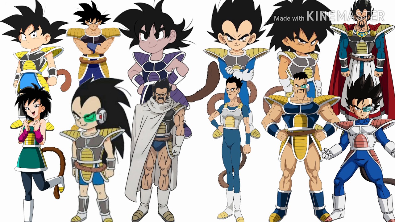 Goku, Bardock, Turles, Vegeta, Broly, King Vegeta, Gine, Raditz ...