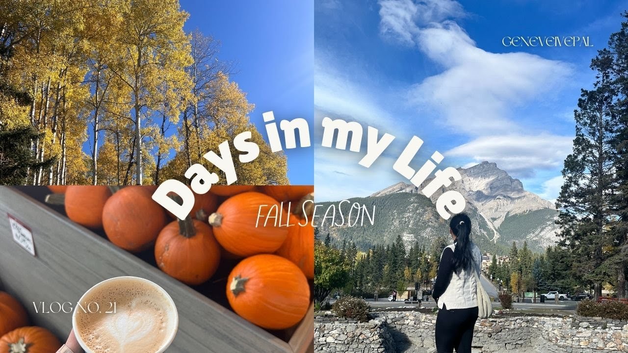Days in my Life- Fall folliage, Johnston Canyon, Banff, Autumn in ...