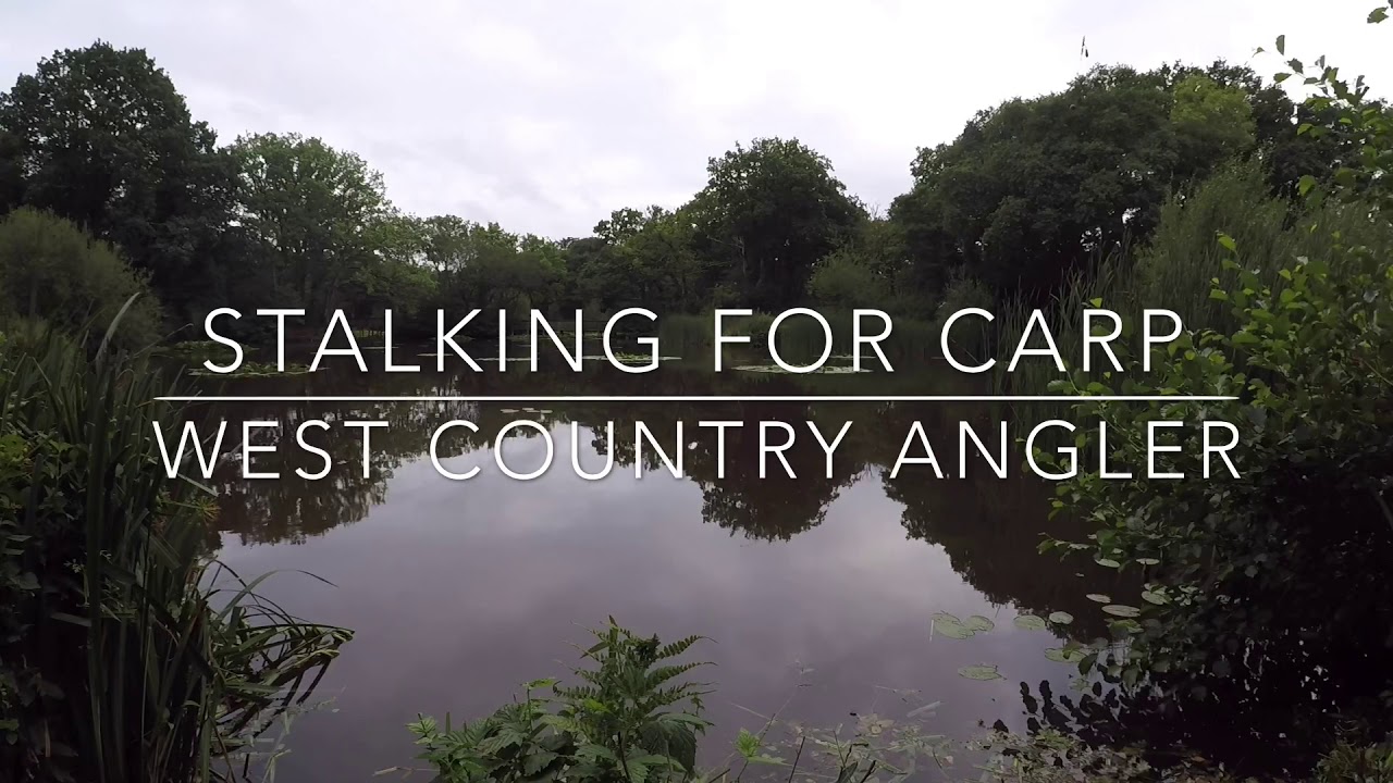 Stalking for Carp - Abbrook Pond, Devon, UK - YouTube